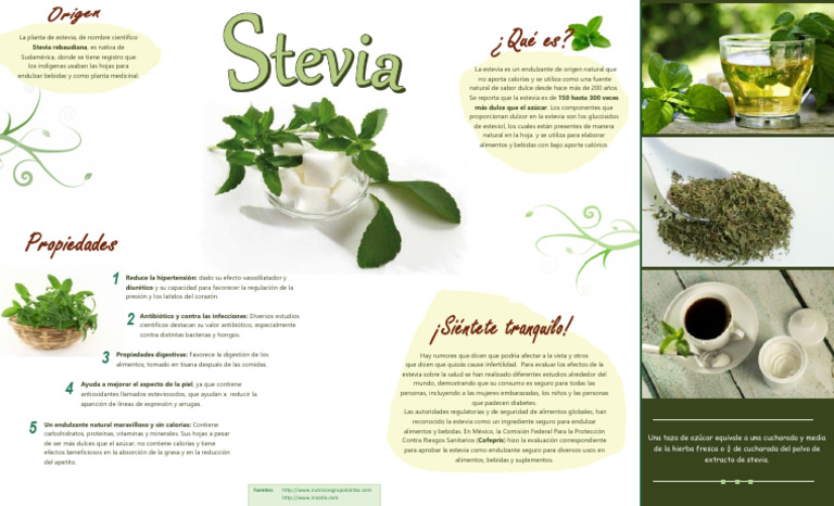 Pros y contras de la stevia | PDF | Alimentos | Comida y bebida