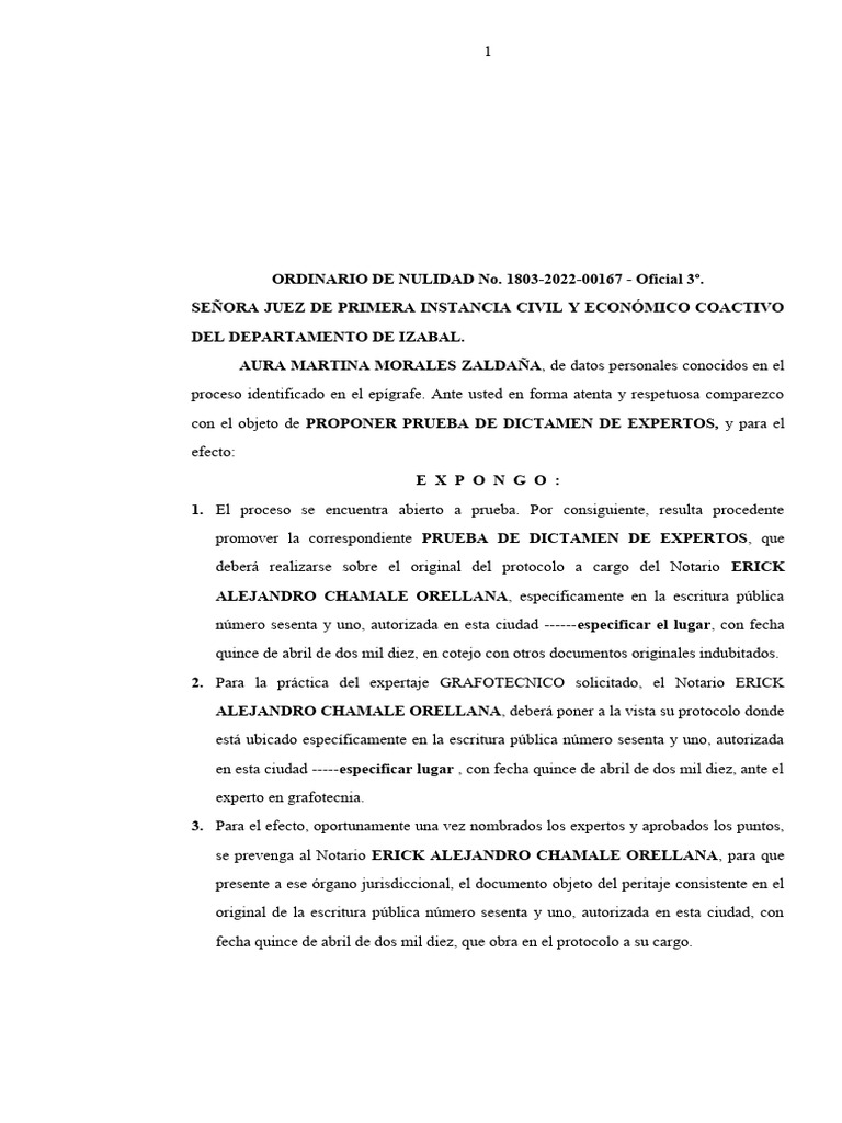 Memorial para Proponer Experto o Perito Ordinario de Nulidad Absoluta ...
