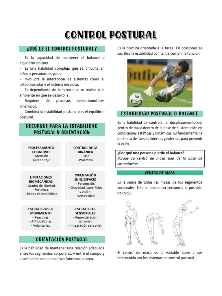Control Postural | PDF | Tobillo | Levantar (Fuerza)