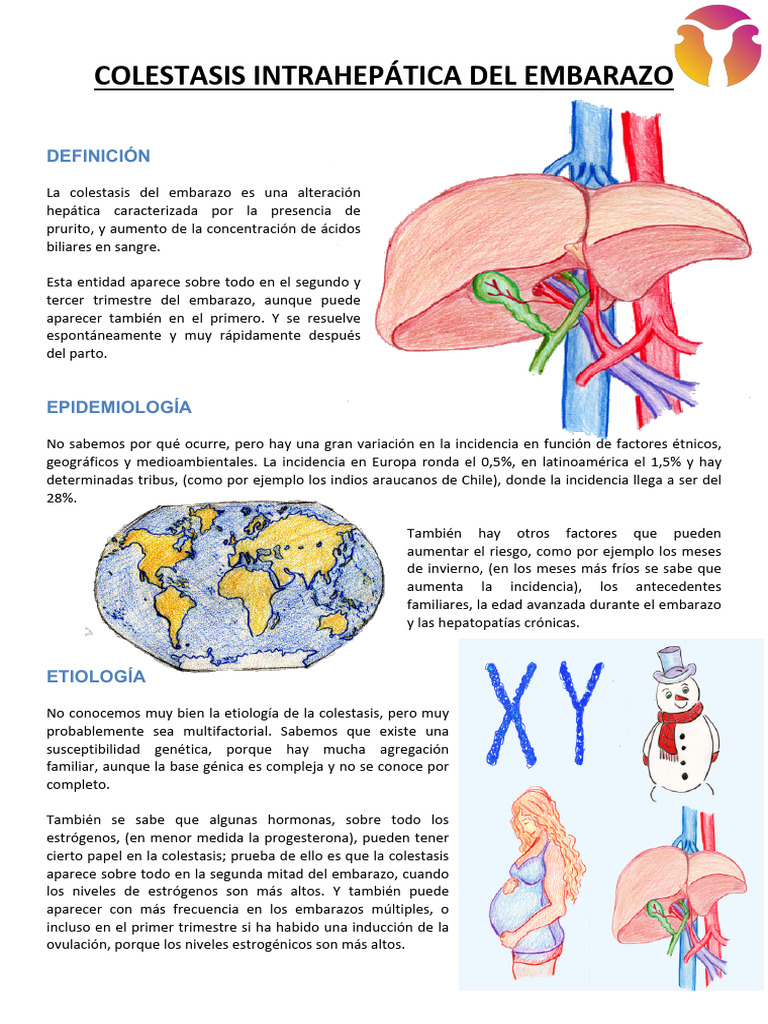 13.-Colestasis | PDF | El embarazo | Feto