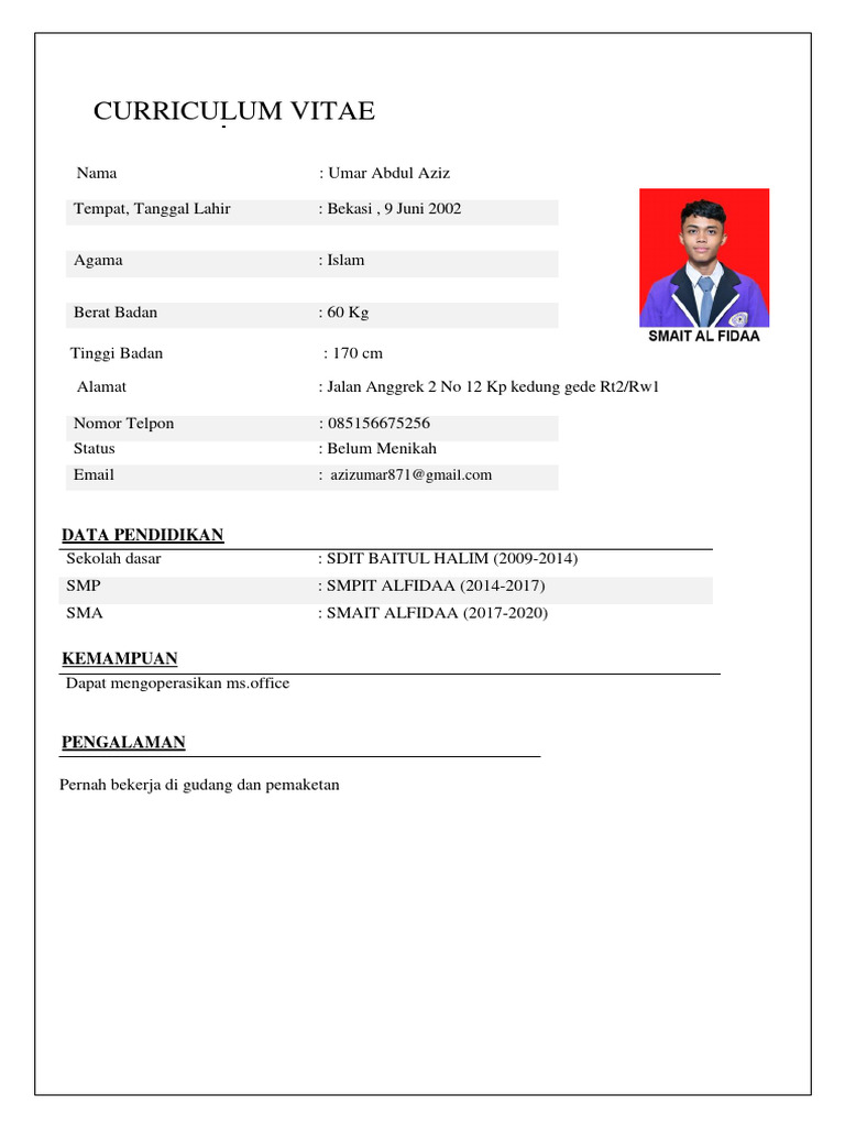 CV Aziz | PDF