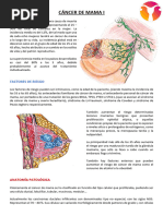 Fisiopatología y Clasificación Del Cáncer de Mama | PDF | Metástasis | Cáncer de mama