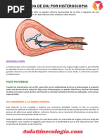 Anatomía de La Región Inguinal | PDF | Abdomen | Sistema musculoesquelético