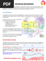 Anatomía Quirúrgica de la Región Inguinal | PDF | Abdomen | Sistema ...