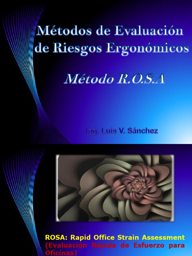 Evaluaciones Ergonomicas Rosa | PDF | Periférico | Teclado