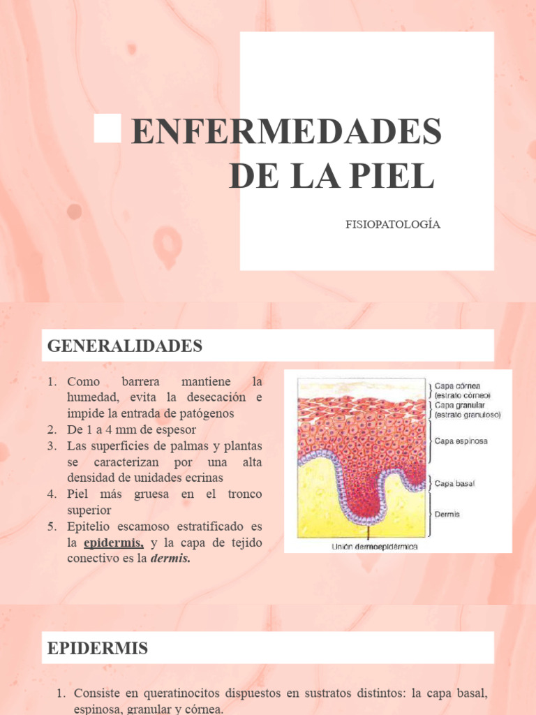 Enfermedades de la Piel: Tipos y Características | PDF | Piel | Epidermis