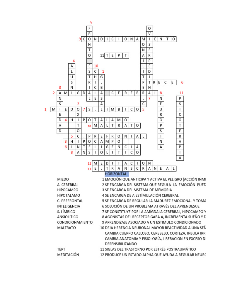CRUCIGRAMA | PDF | Cerebro | Amígdala