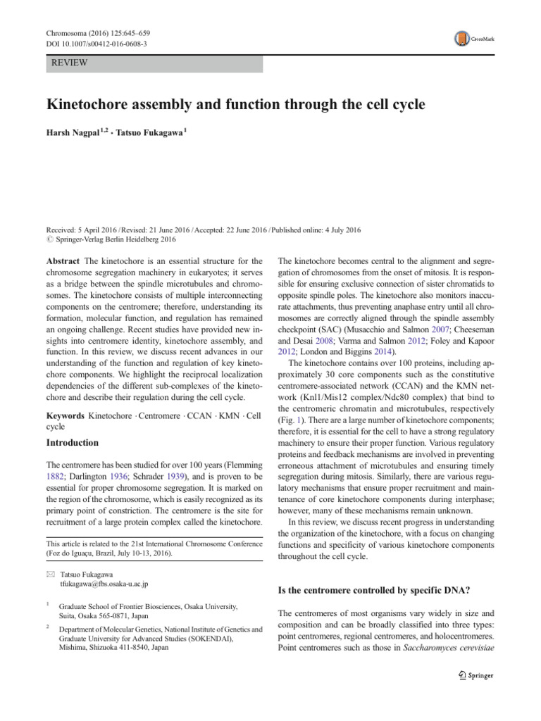 Kinetochore Assembly and Function Through The Cell Cycle: Review | PDF ...