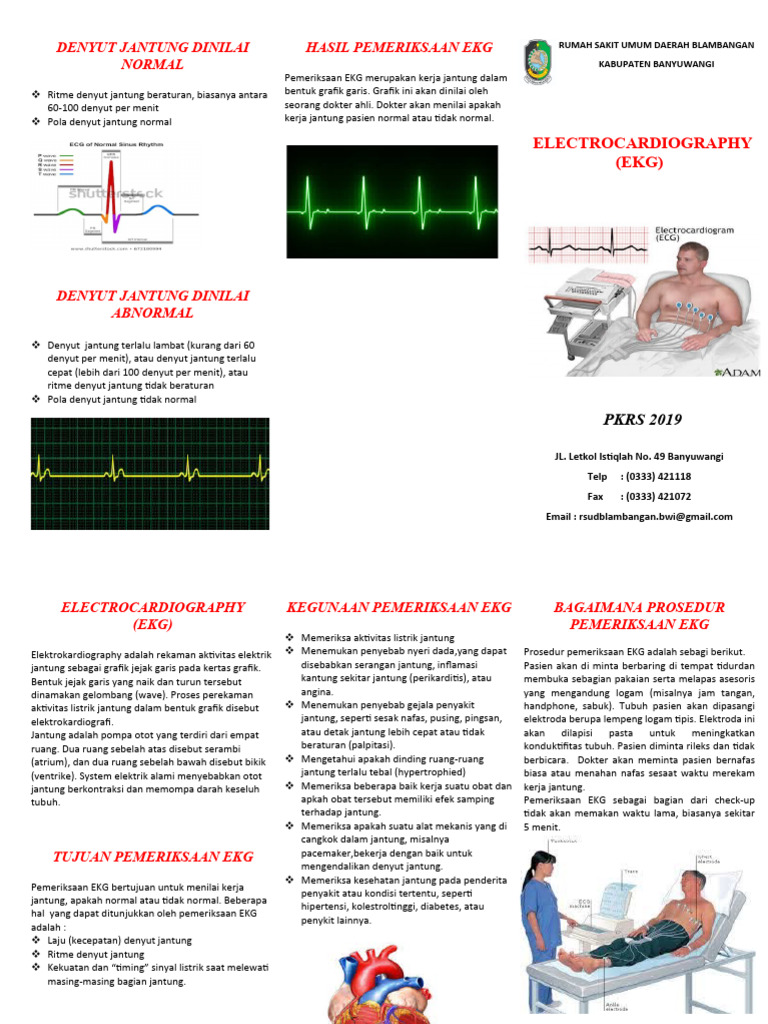 Denyut Jantung Dinilai Normal Hasil Pemeriksaan Ekg | PDF