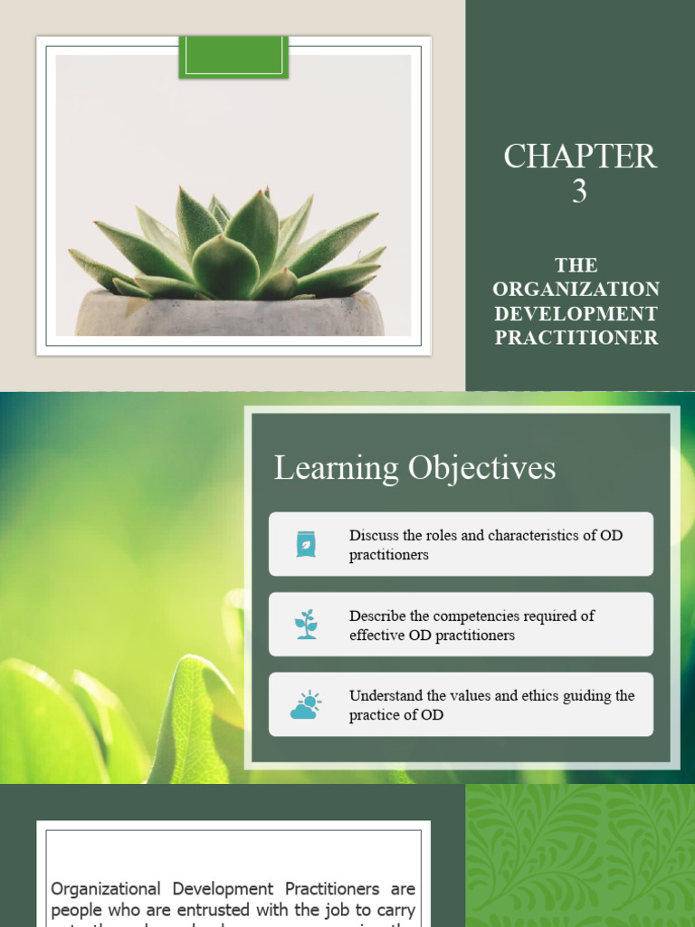 Chapter 3 | PDF | Organization Development | Consultant
