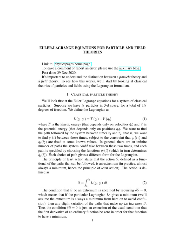 Euler Lagrange Equations For Particle And Field Theories Pdf