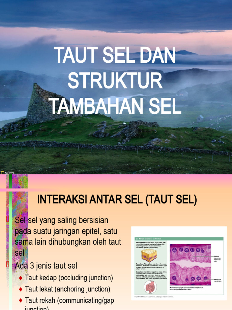 SEL, TIPE SEL DAN SIKLUS MITOSIS (Bagian II) 7 OKTOBER 2022 (FK UPH ...