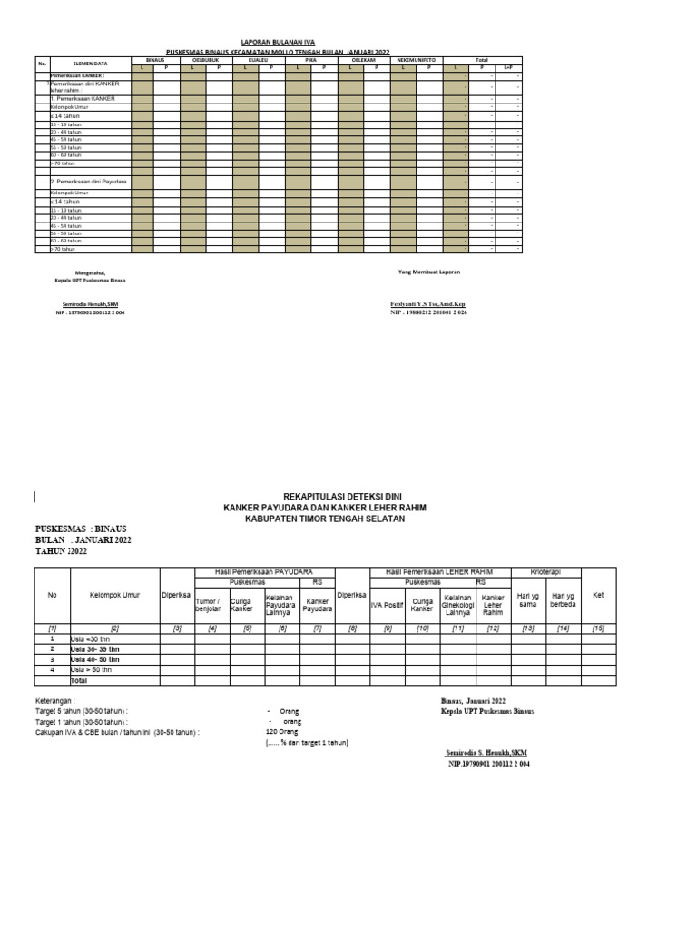 Form Laporan Iva | PDF