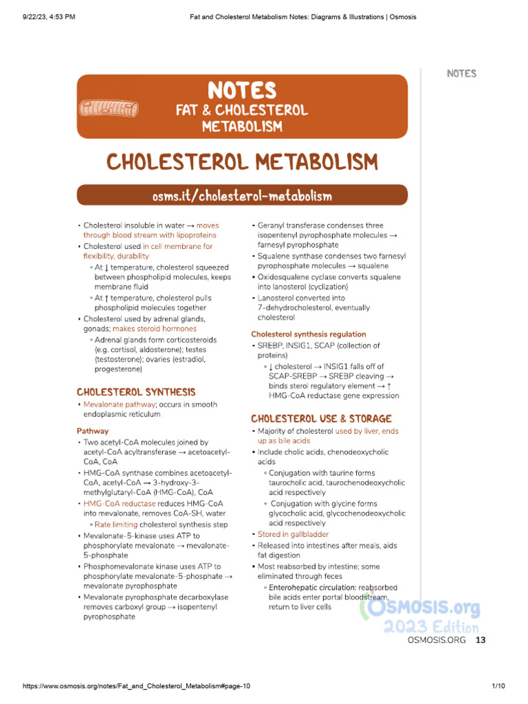 Cholesterol Metabolism Diagrams & Notes | PDF | Lipid | Structural Biology