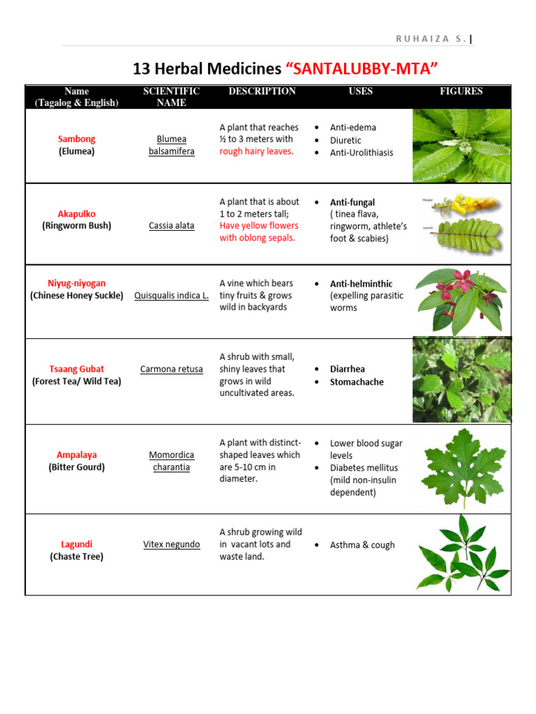 13 Herbal Medicines | PDF | Botany | Plants