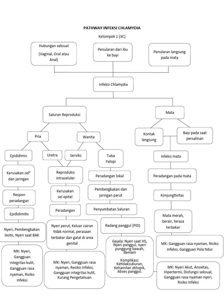 Pathway Infeksi Chlamydia-Kelompok 1 (3C) | PDF