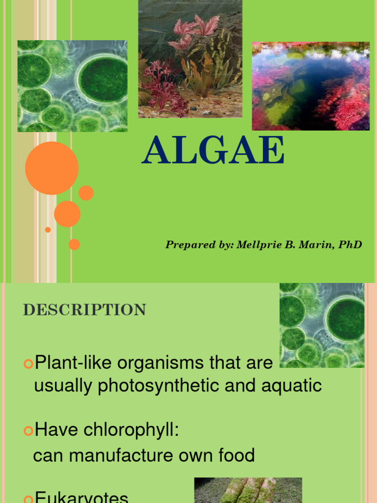 Unit 7a. Algae | PDF