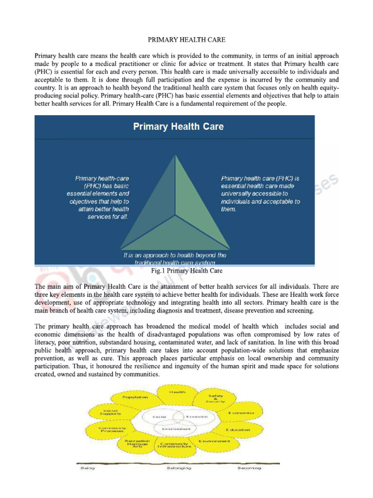 Primary Health Care | PDF