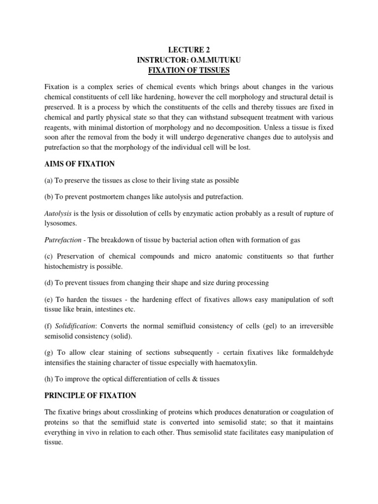 Lecture 2 - Fixation | PDF