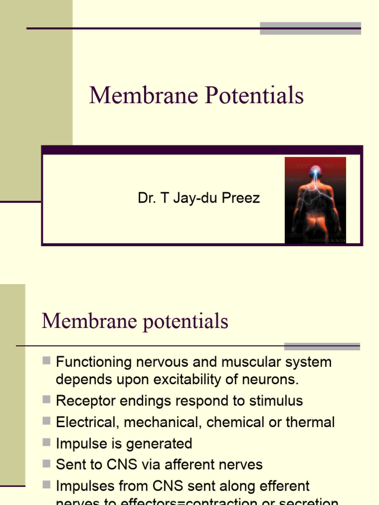 Membrane Potentials Lecture 3 | PDF | Membrane Potential | Action Potential