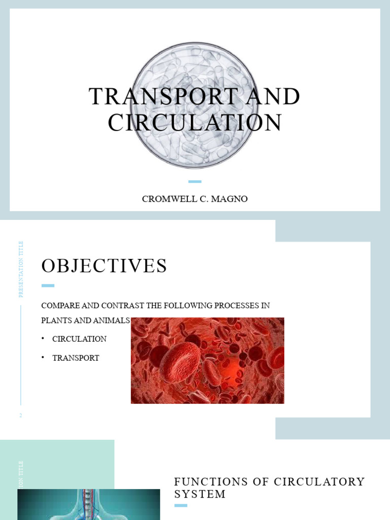 Transport and Circulation | PDF | Heart Valve | Ventricle (Heart)