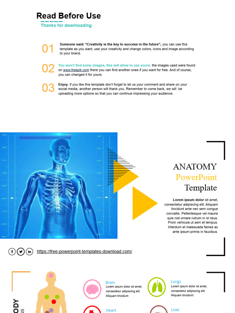Free Anatomy Powerpoint Template | PDF | Human Body | Human Eye