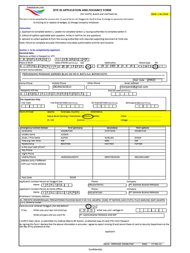Single ID Form - GBP-1 | PDF | Travel Visa | Passport