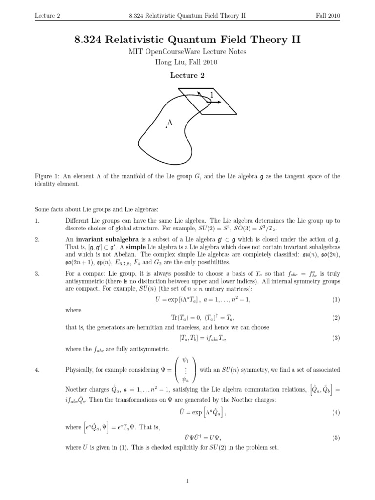 Gauge | PDF | Gauge Theory | Lie Algebra