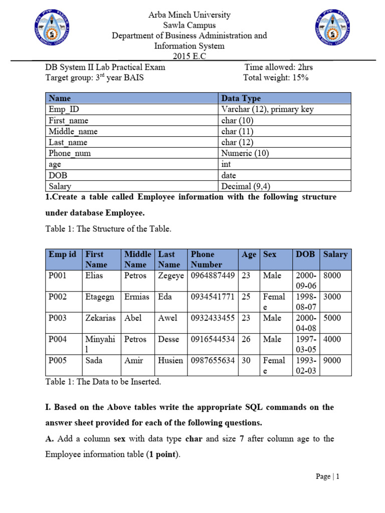 BAIS Exam | PDF | Data Model | Computing