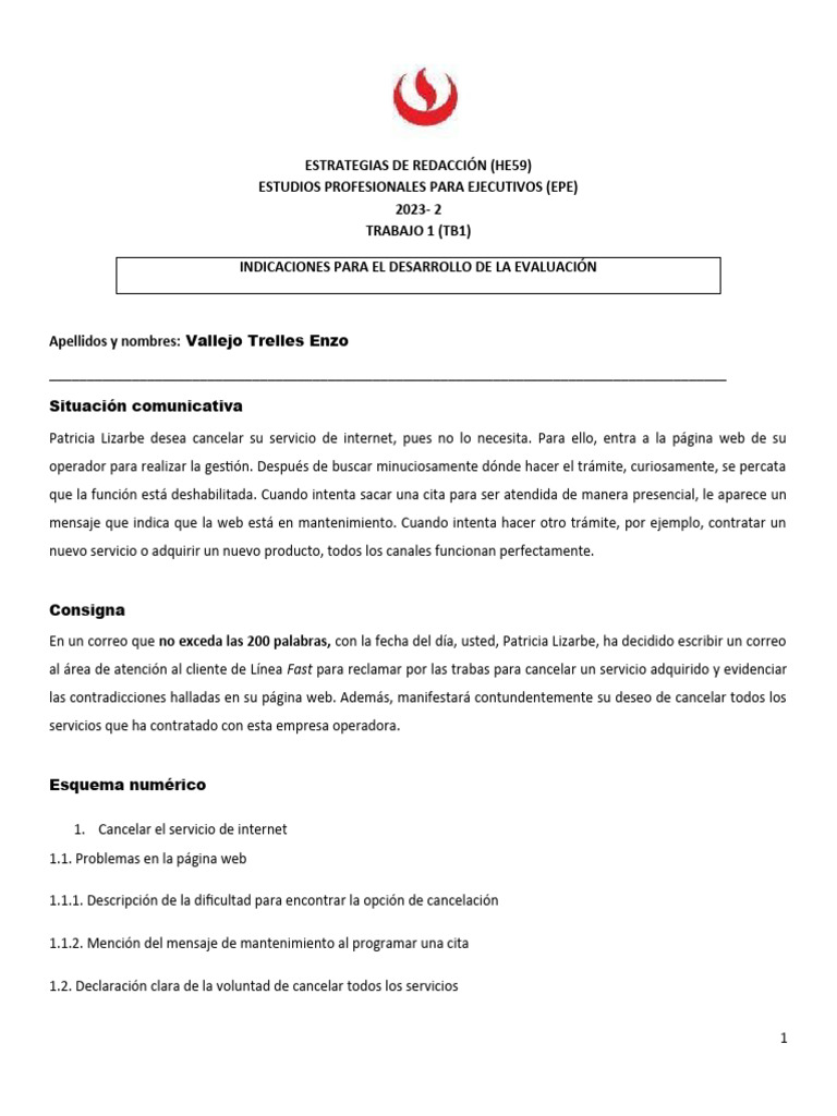 TB1 - Version Final - Enzo Vallejo | PDF | Internet | Red mundial