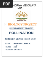 Class 12 Investigatory Project on Pollination | PDF | Pollination ...
