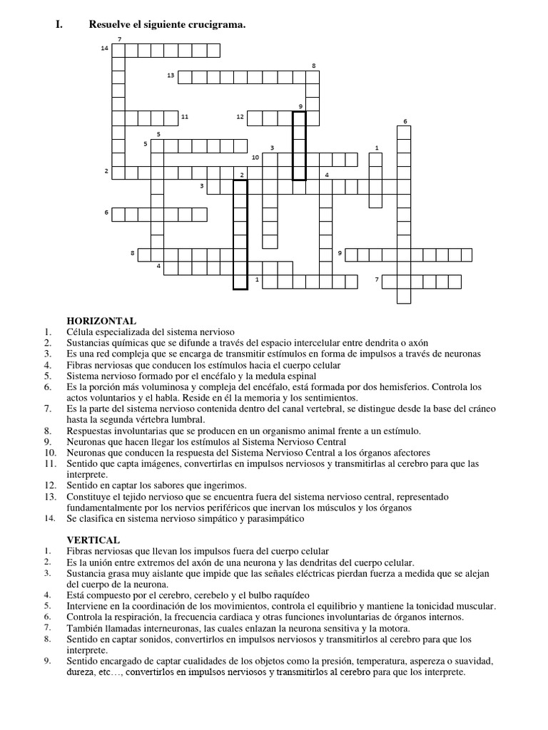 Crucigrama de Sistema Nervioso | PDF | Sistema nervioso | Cerebro