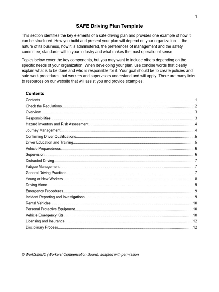 TP SafeDrivingPlan 19SWMB | PDF | Occupational Safety And Health | Driving