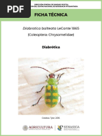 FICHA TECNICA Alfacipermetrina | PDF | Insecticida | Insectos
