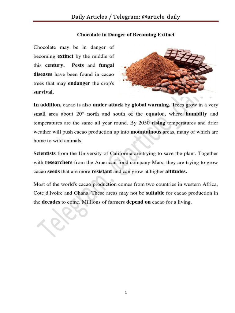 Chocolate in Danger of Becoming Extinct | PDF
