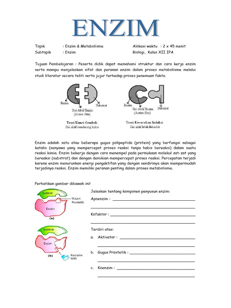 LKPD Enzim | PDF