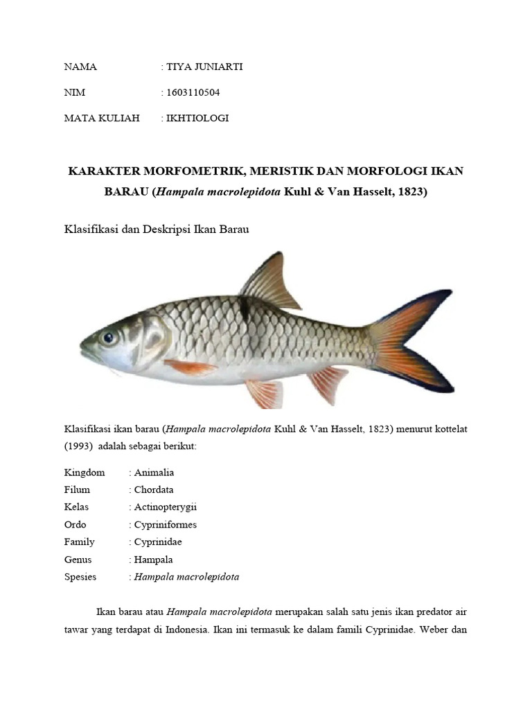 Tugas - Ikhtiologi - Tiya Juniarti | PDF