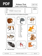Grade 1 Physical Science States of Matter Worksheet | PDF