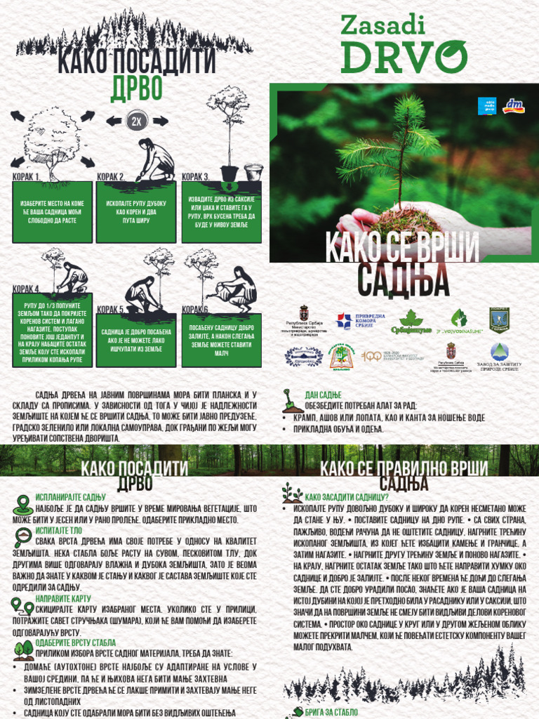 Kako Posaditi Drvo | PDF