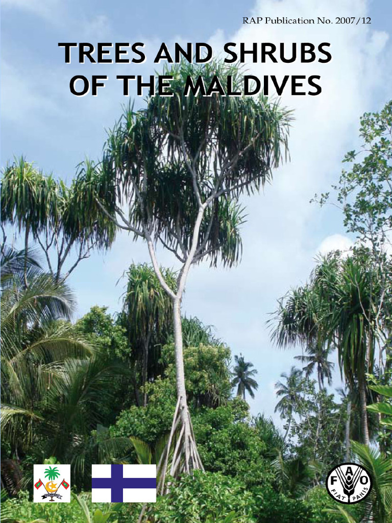 Trees and Shrubs of the Maldives | PDF | Leaf | Flowers