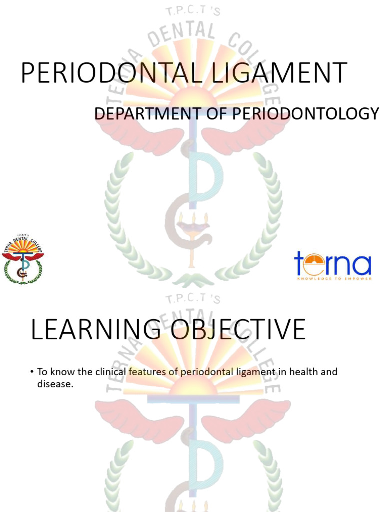 Periodontal Ligament Part I | PDF | Human Tooth | Periodontology