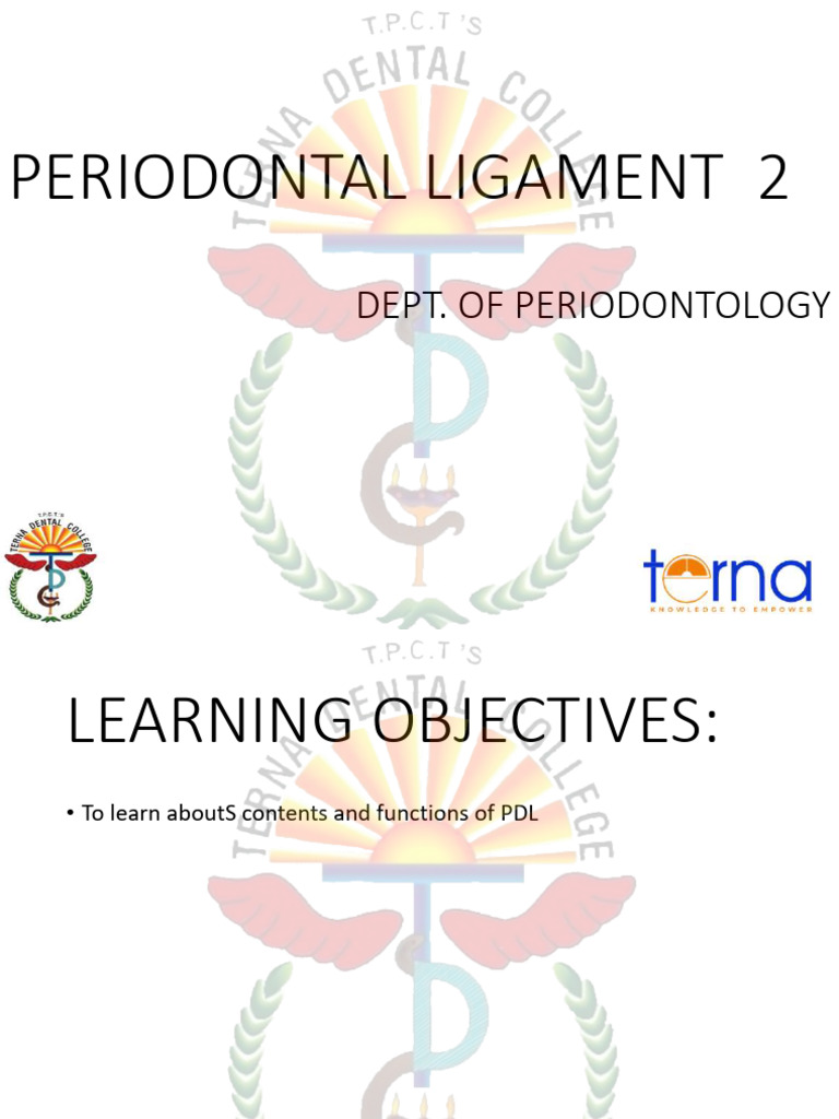Periodontal Ligament Part II | PDF | Extracellular Matrix | Fibroblast