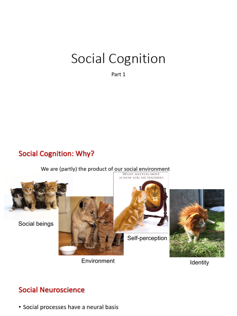 B3 - Social Cognition 2023 | PDF | Empathy | Theory Of Mind