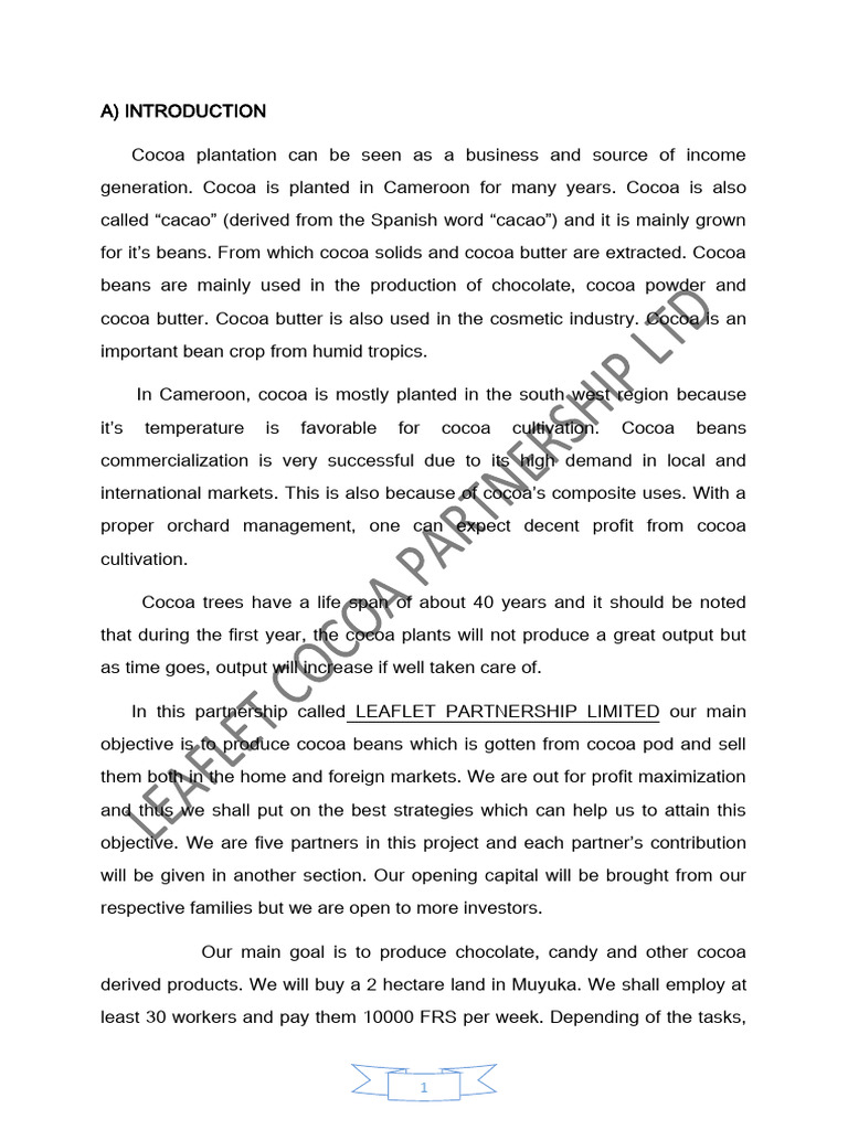 Business Cocoa Plan | PDF | Sales | Cocoa Bean