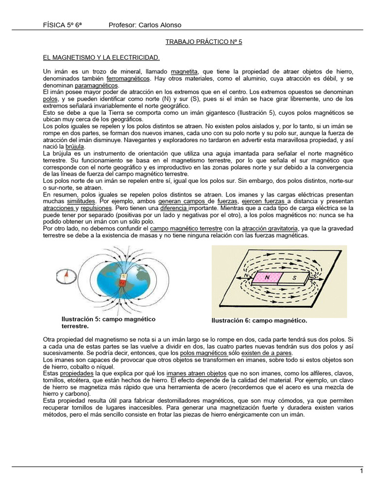Trabajo Practico #5 | PDF | Imán | Campo magnético