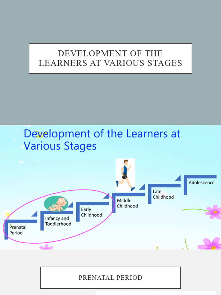 DEVELOPMENT OF THE LEARNERS AT VARIOUS STAGES Report Number 11 | PDF ...