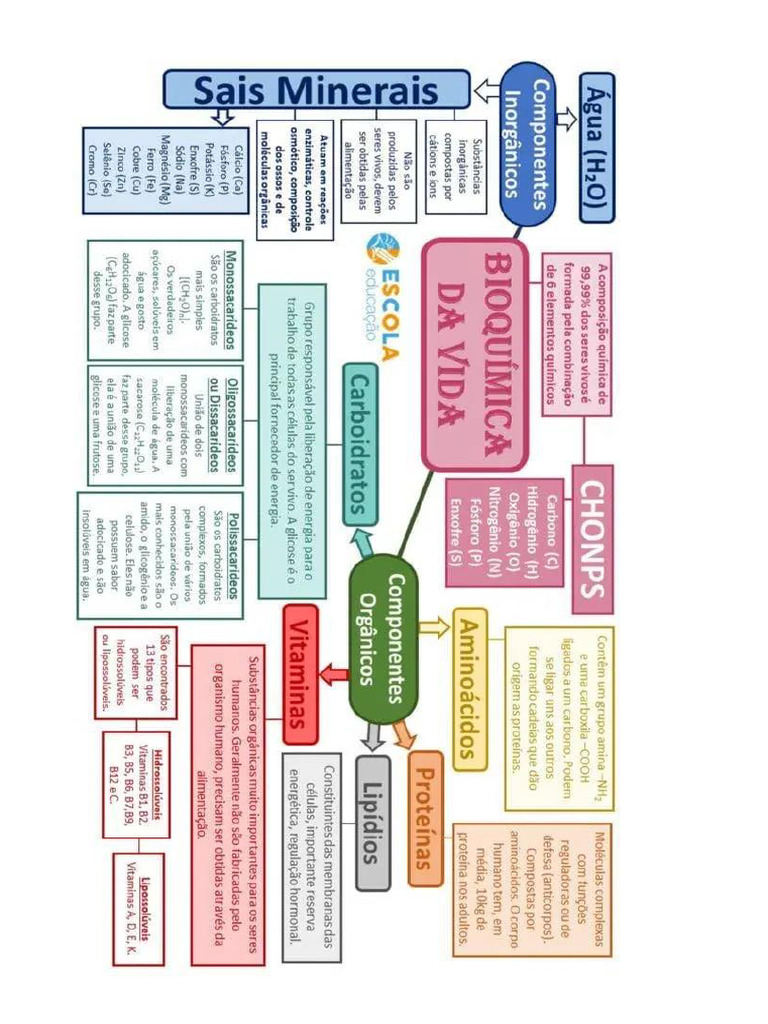 Mapas de Biologia | PDF
