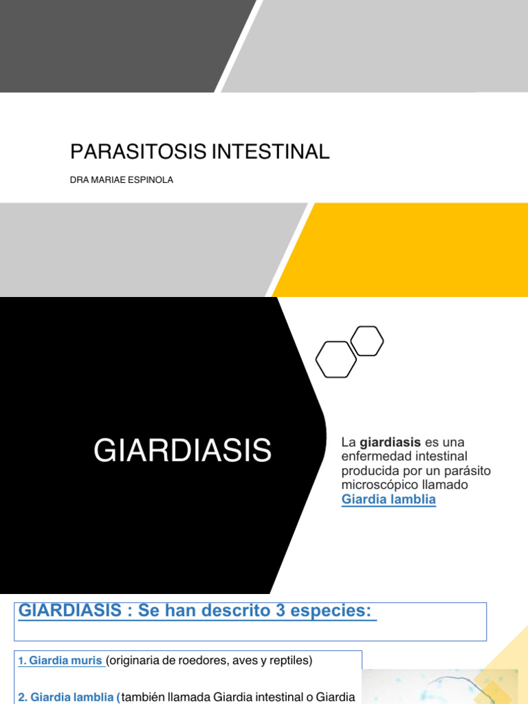 Parasitosis Intestinal | PDF