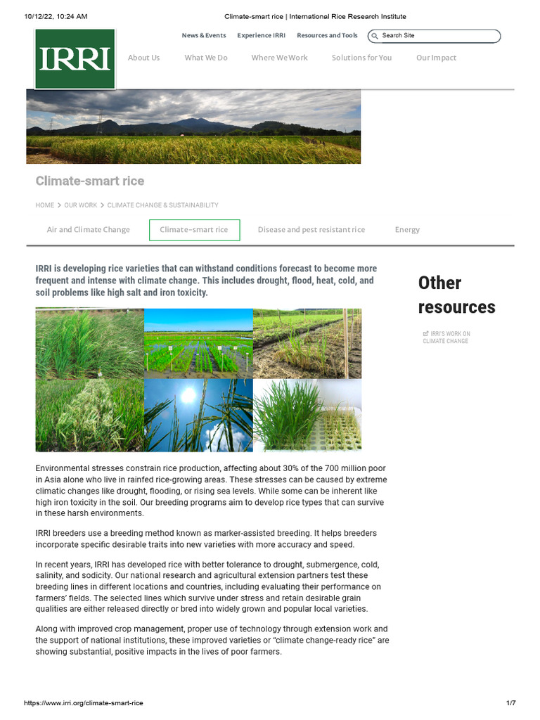 Climate-Smart Rice - International Rice Research Institute | Download ...
