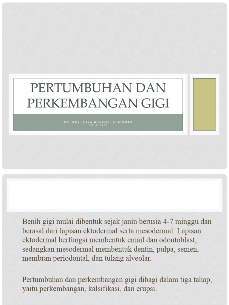 Fase Pertumbuhan Gigi | PDF
